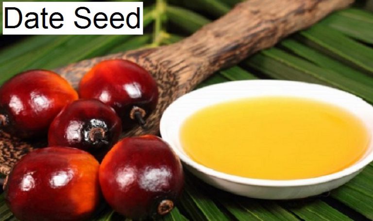 How To Store Dates? The Best Way To Preserve Dates | #15Tips