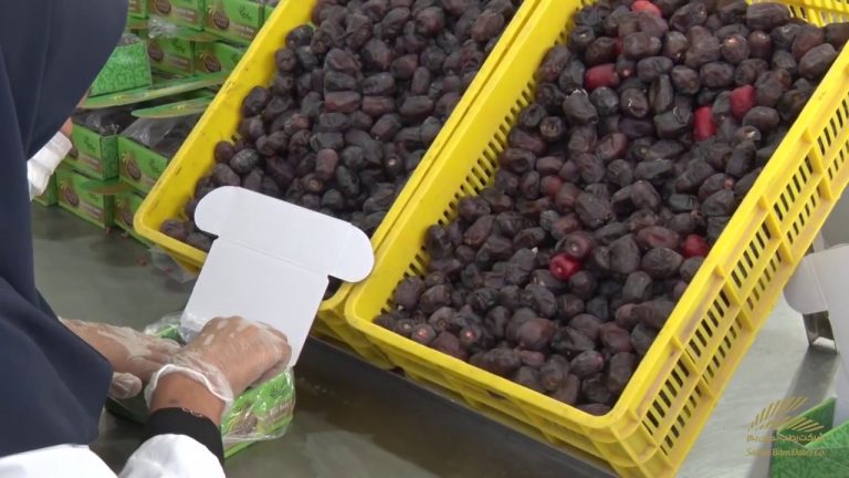 How To Store Dates? The Best Way To Preserve Dates | #15Tips